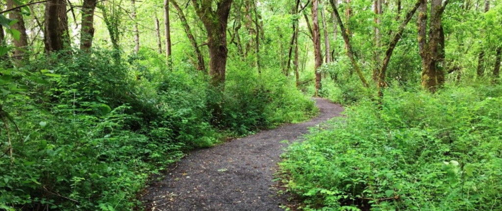 Explore Vancouver Lake – Friends of Vancouver Lake