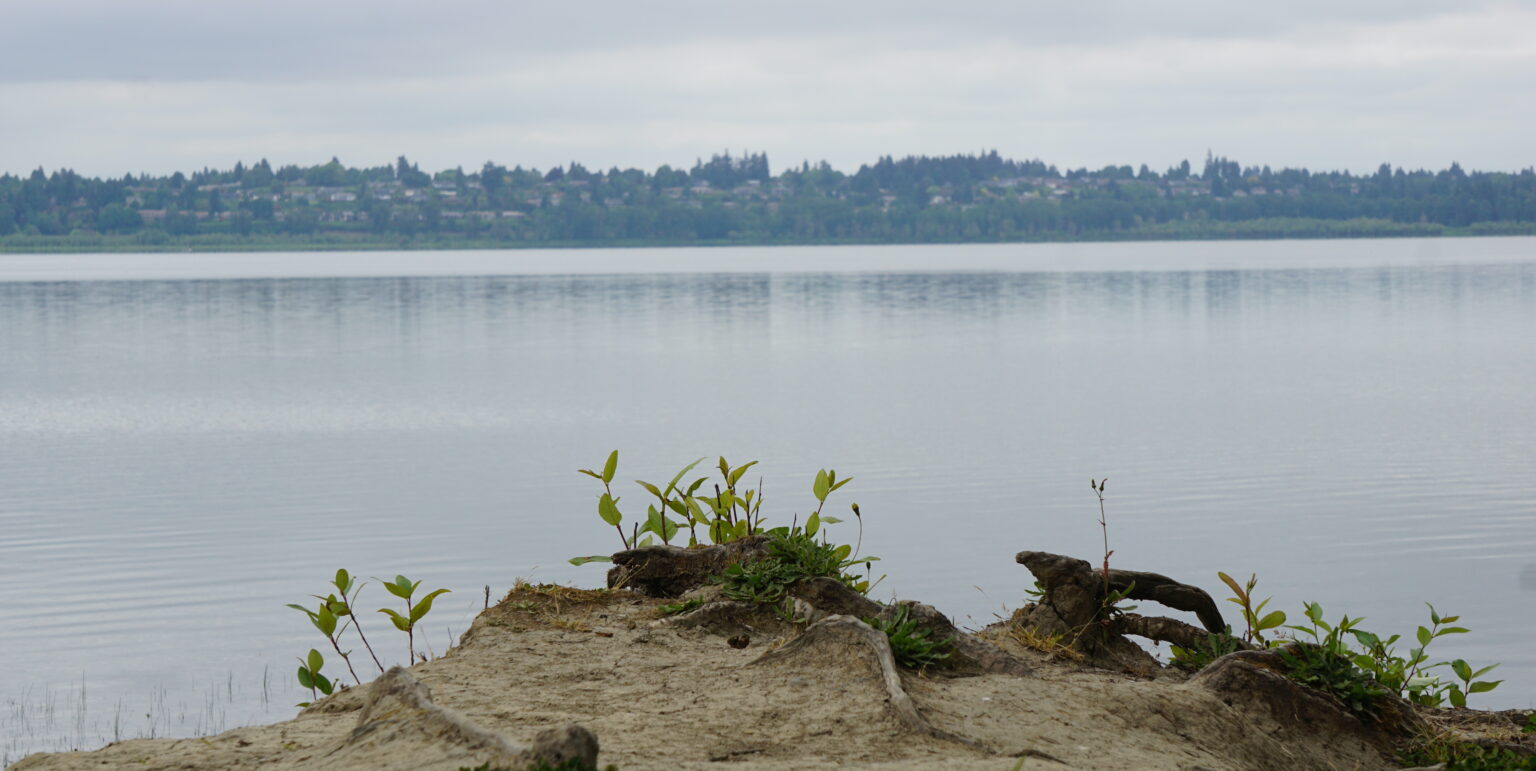 Friends of Vancouver Lake – Preserve and enhance the environmental and ...